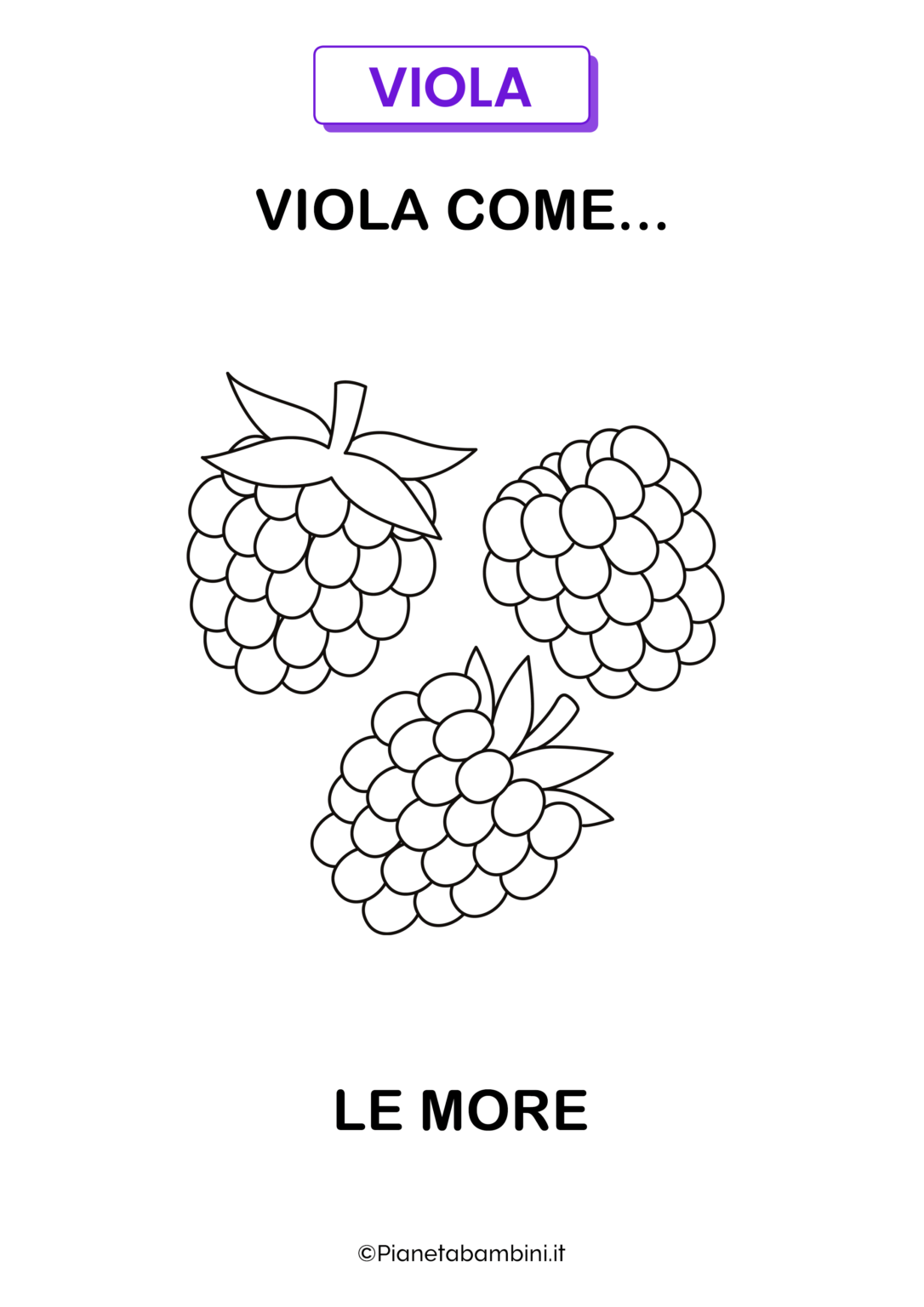 Schede Didattiche sul Colore Viola | PianetaBambini.it