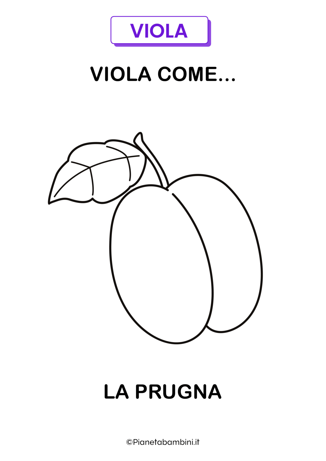 Schede Didattiche sul Colore Viola | PianetaBambini.it