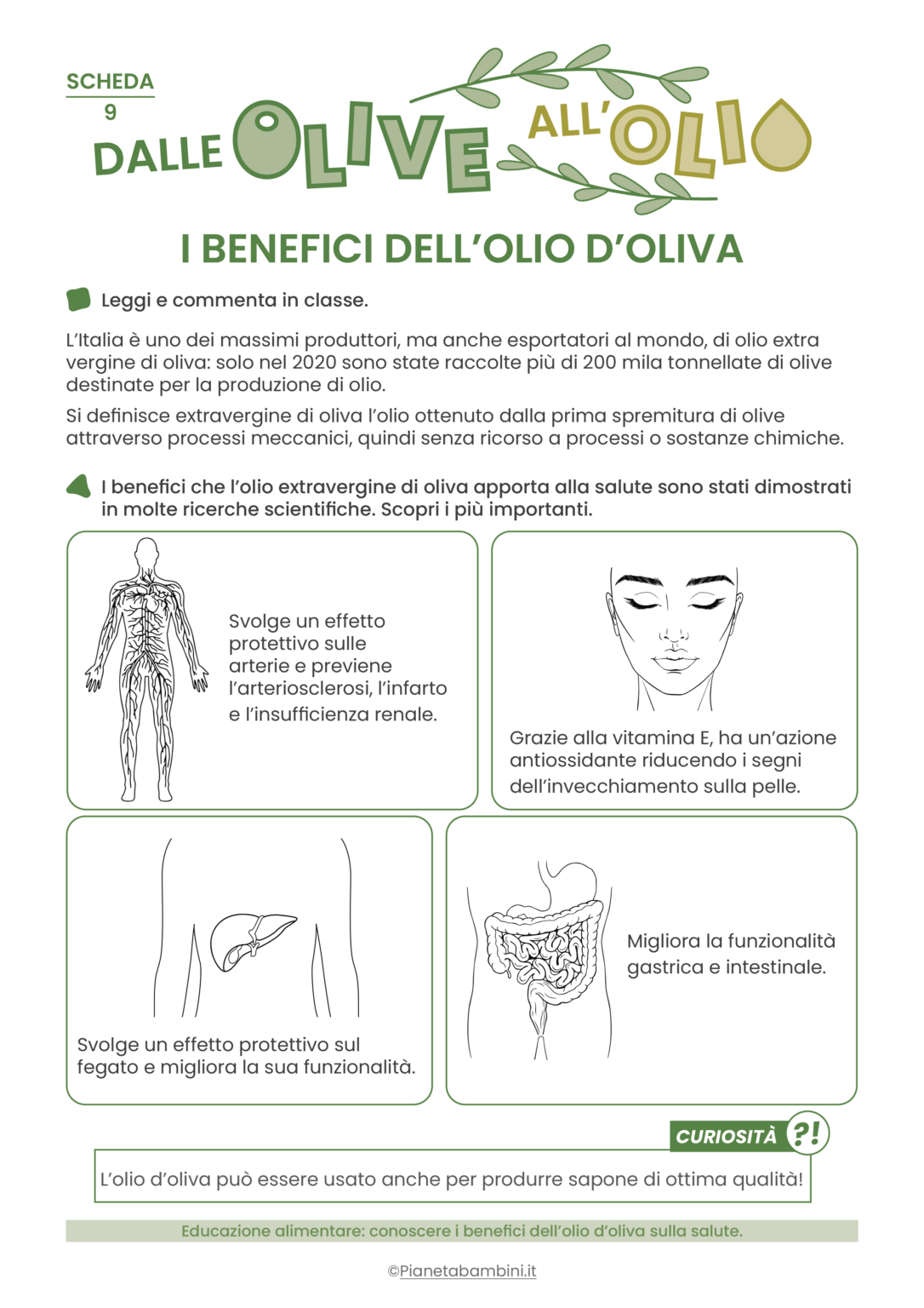 Dalle Olive all'Olio: Schede Didattiche per la Scuola Primaria ...