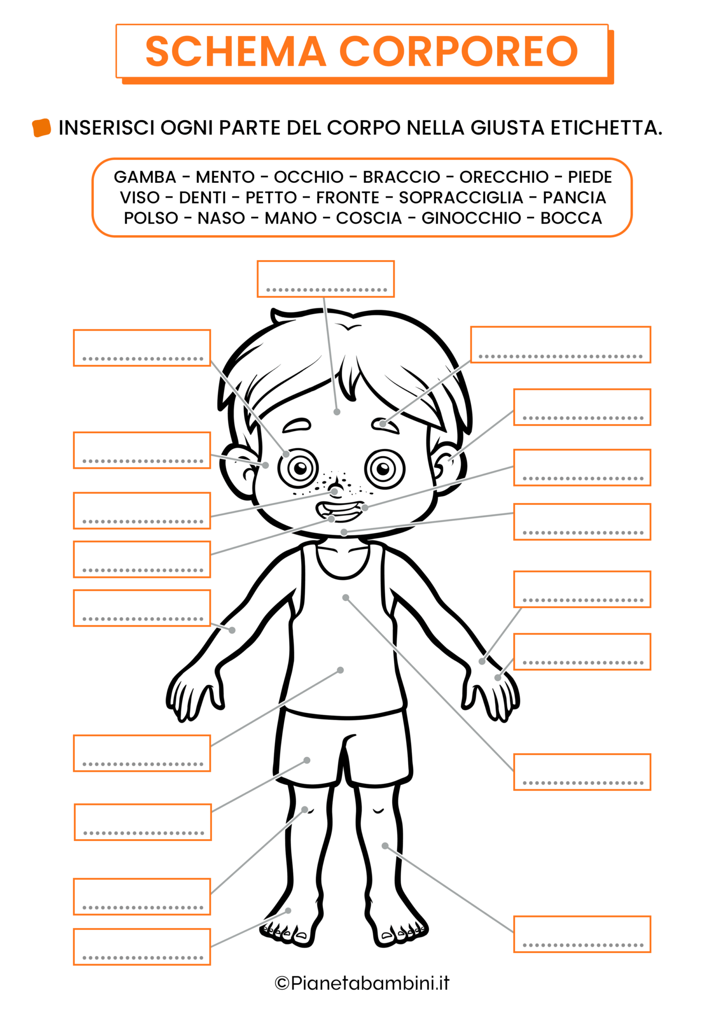 Schema Corporeo: Schede Didattiche e Attività | PianetaBambini.it