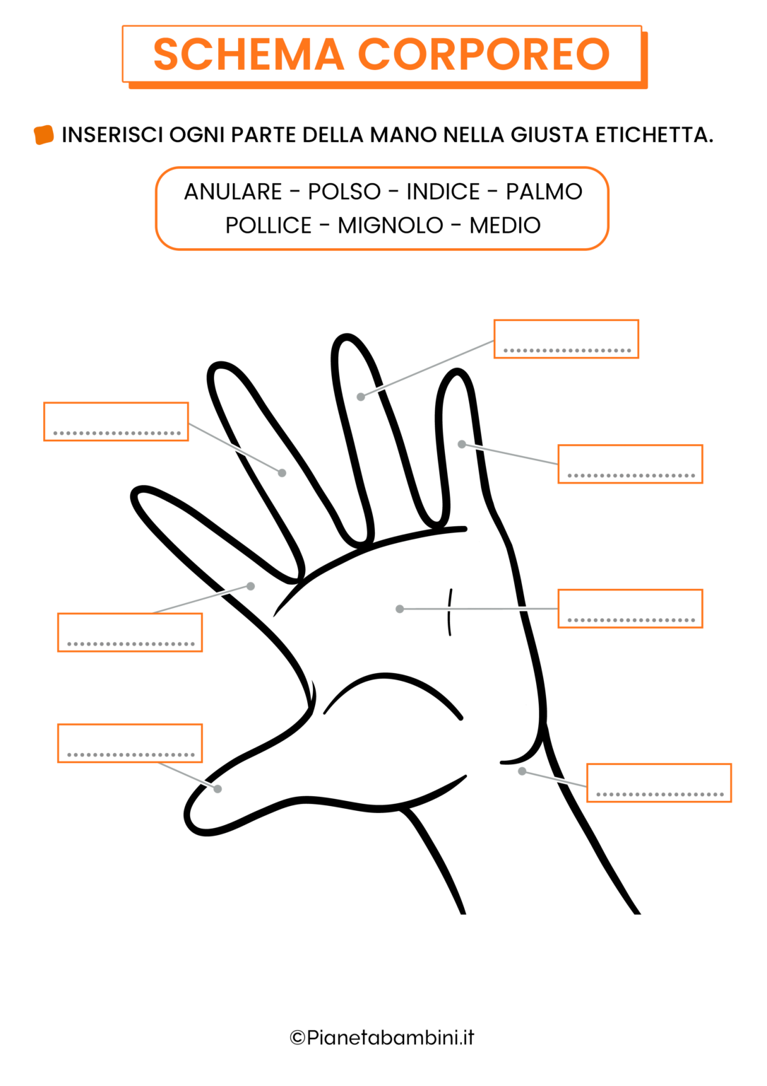 Schema Corporeo: Schede Didattiche e Attività | PianetaBambini.it