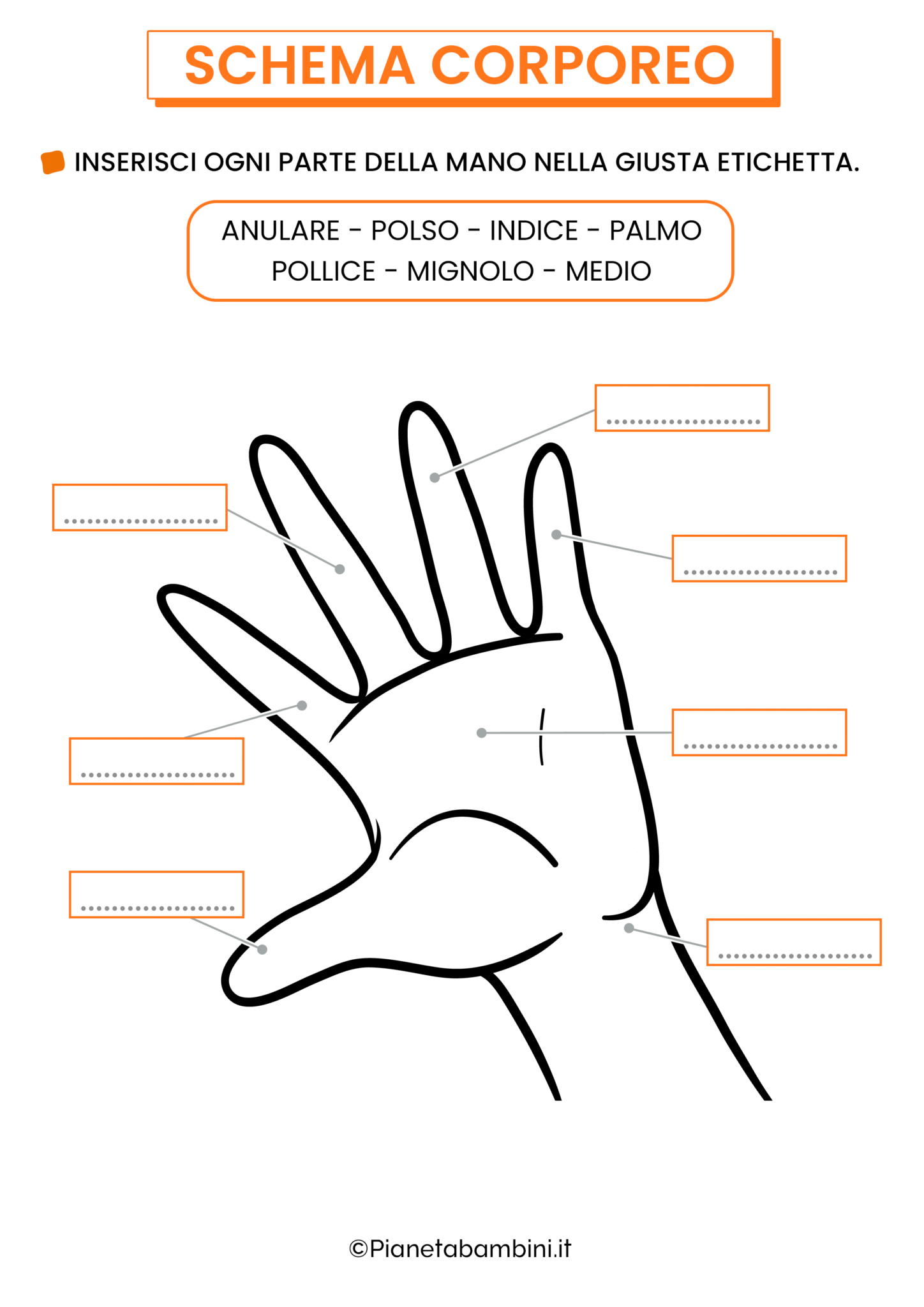 Schema Corporeo: Schede Didattiche e Attività | PianetaBambini.it