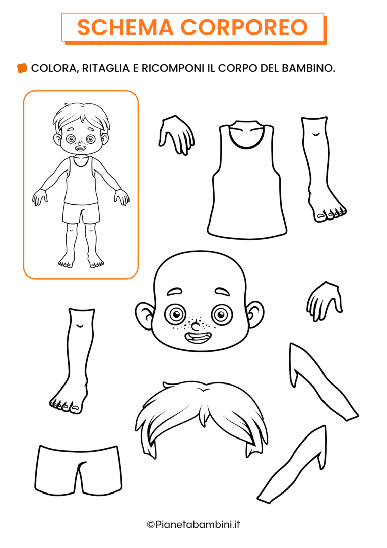 Schema Corporeo: Schede Didattiche e Attività | PianetaBambini.it