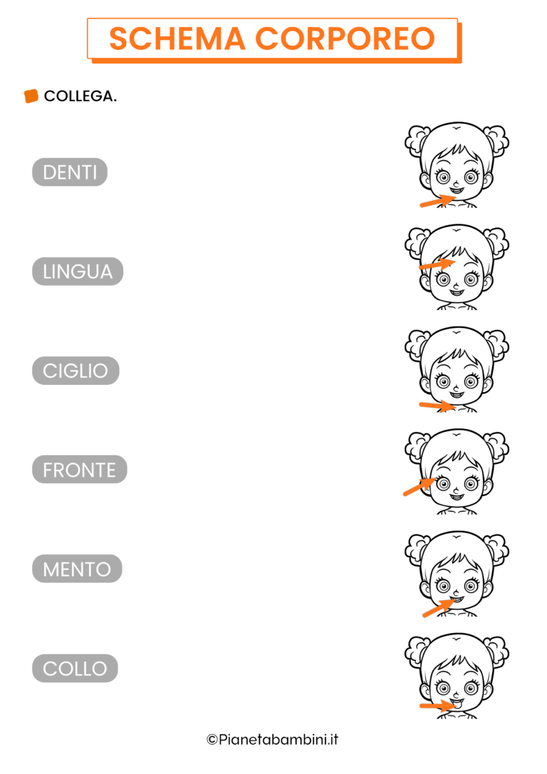Schema Corporeo: Schede Didattiche e Attività | PianetaBambini.it