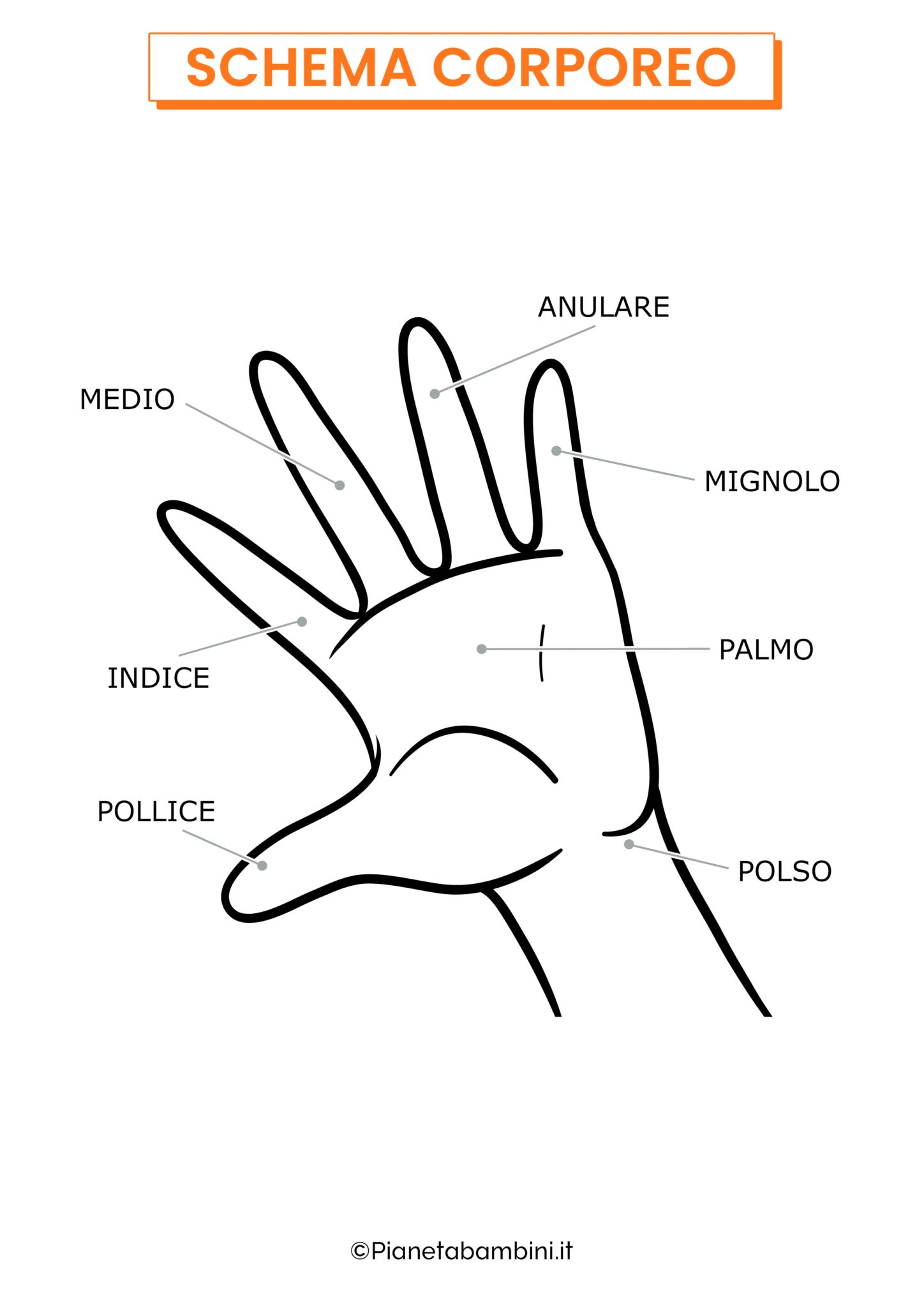 Schema Corporeo: le Dita delle Mani | PianetaBambini.it