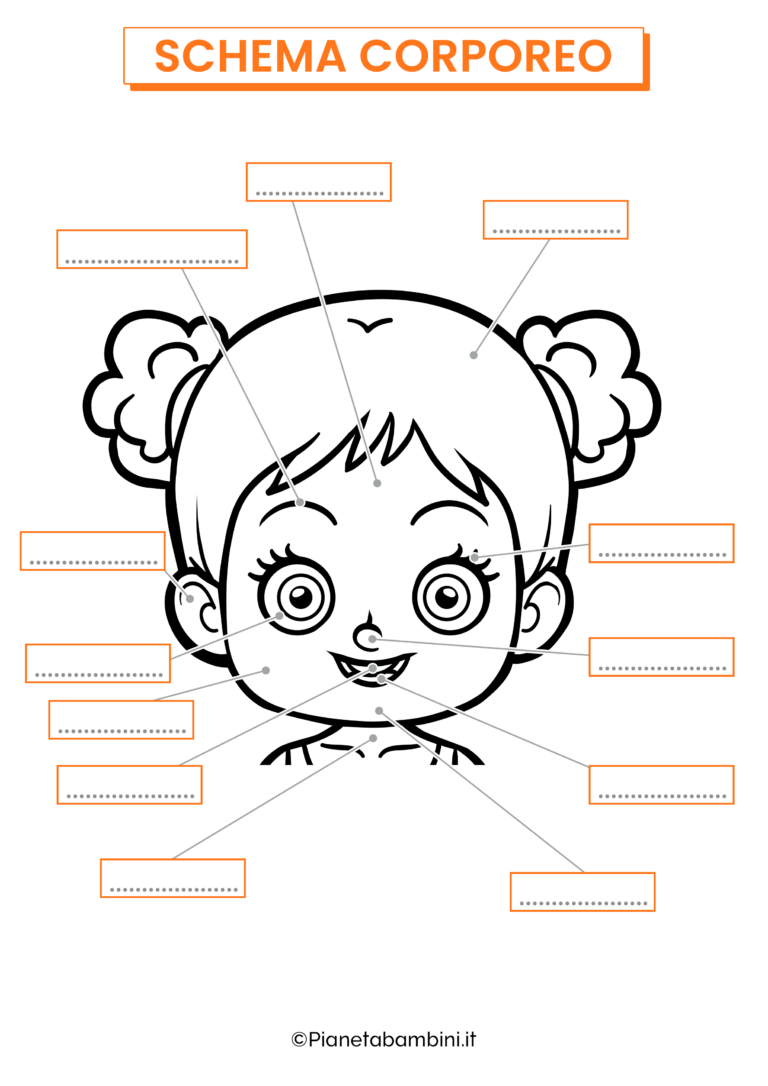 Schema Corporeo: le Parti del Viso | PianetaBambini.it