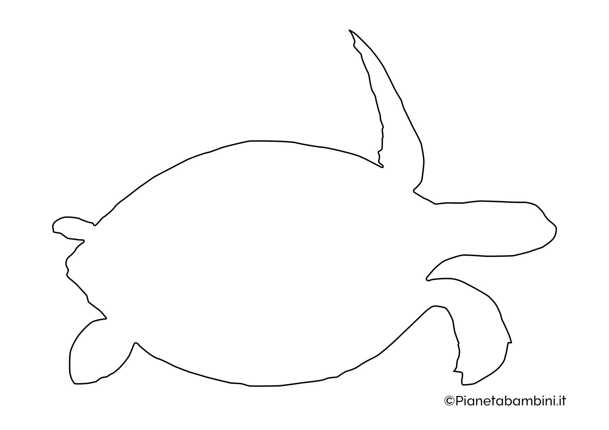Sagome di Tartarughe da Stampare e Ritagliare | PianetaBambini.it