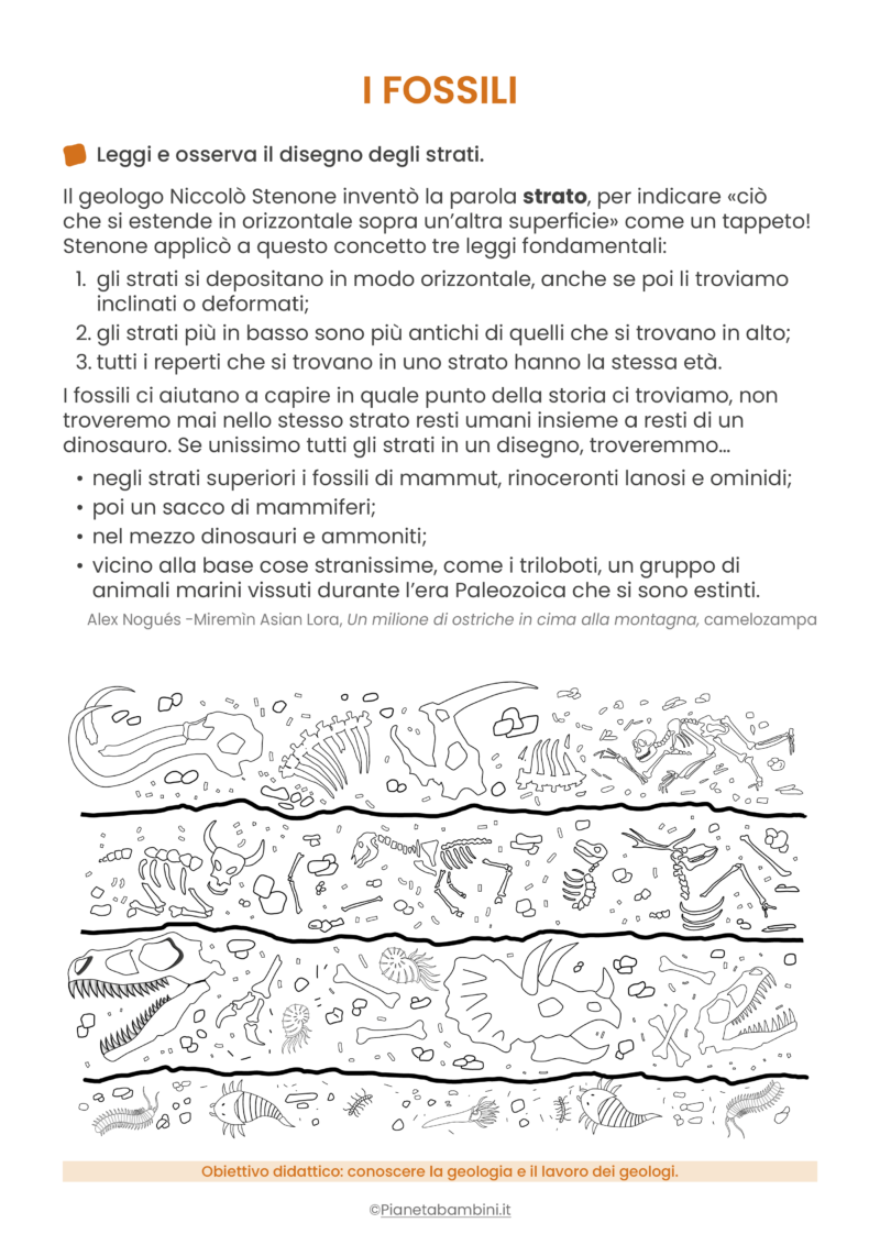 I Fossili: Schede Didattiche per la Scuola Primaria | PianetaBambini.it
