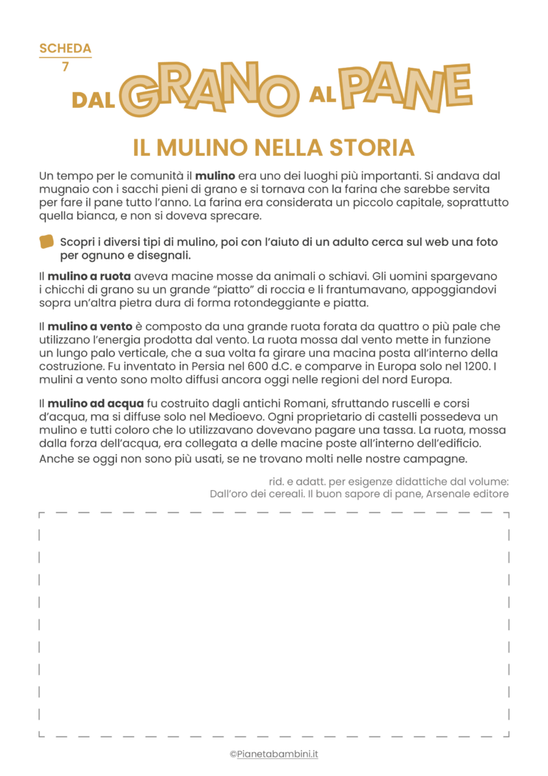Dal Grano al Pane: Schede Didattiche per la Scuola Primaria ...