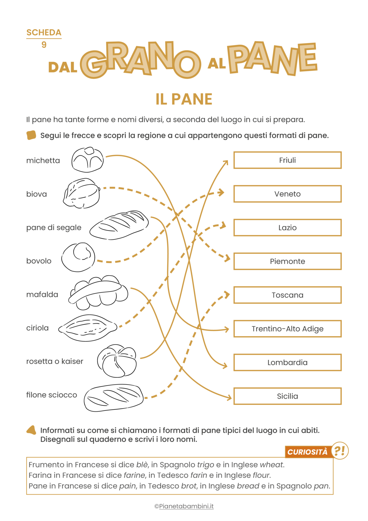 Dal Grano al Pane: Schede Didattiche per la Scuola Primaria ...