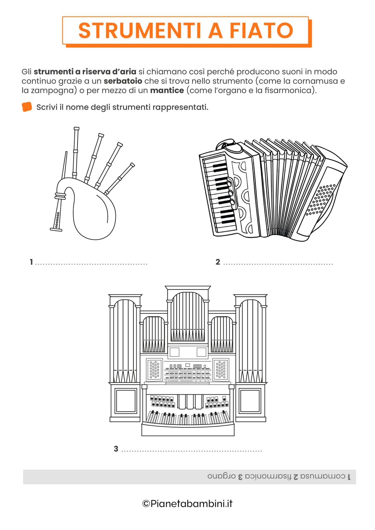 Strumenti a Fiato: Schede Didattiche per la Scuola Primaria ...