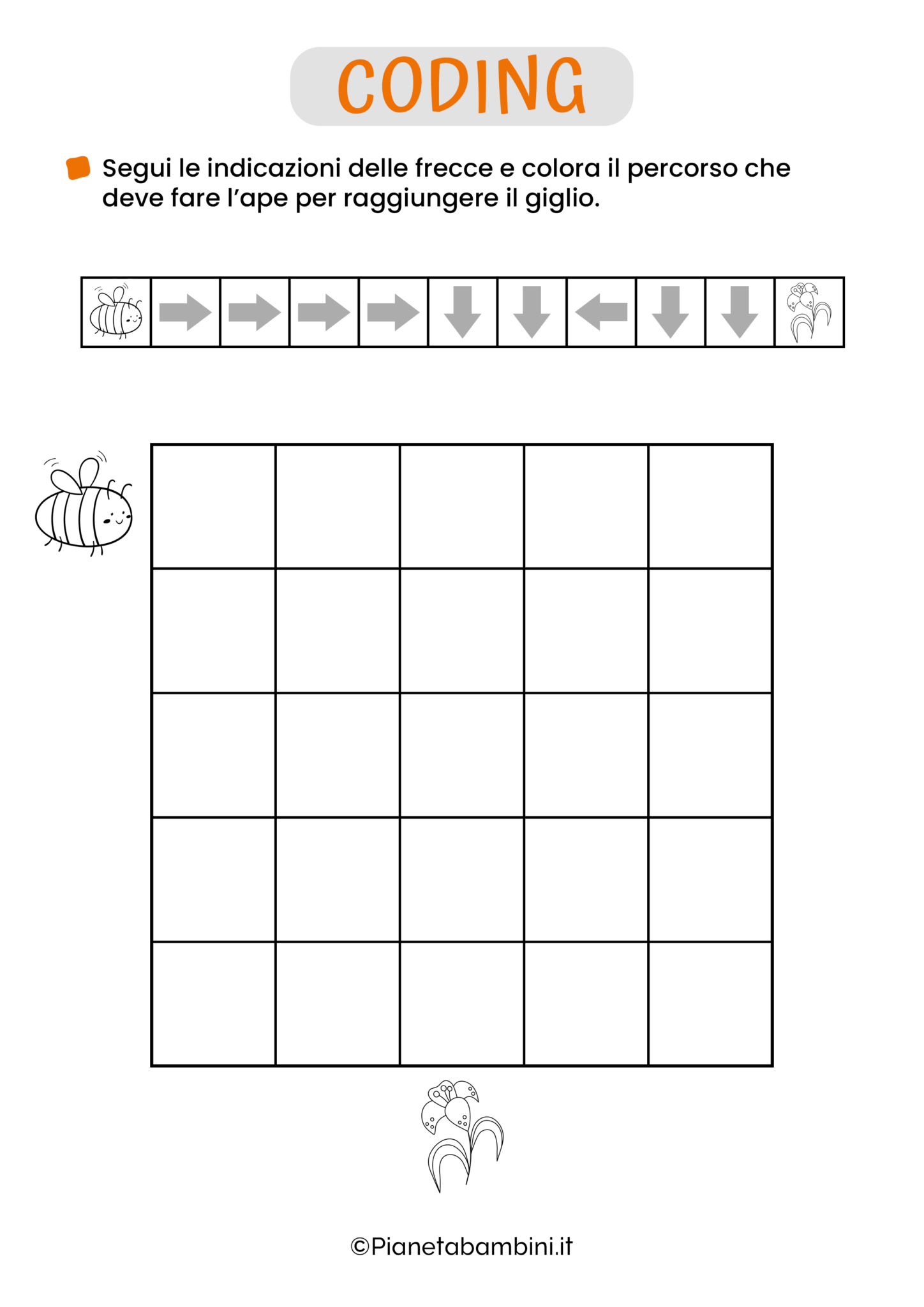 Schede di Coding sulle Api | PianetaBambini.it