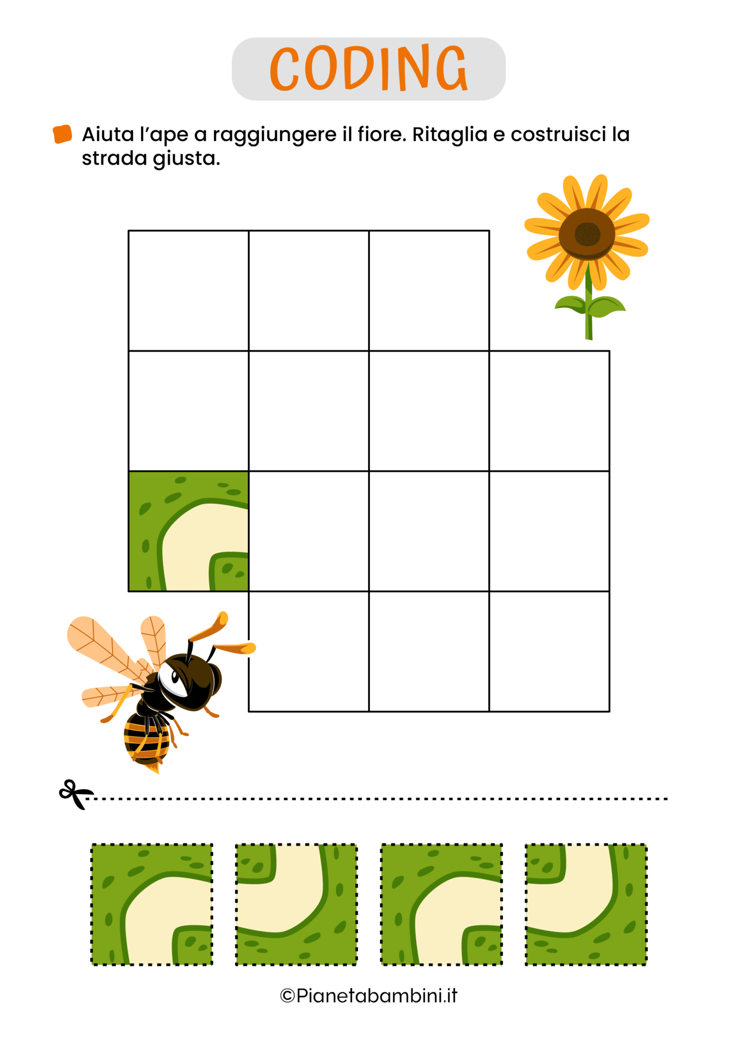 Schede di Coding sulle Api | PianetaBambini.it