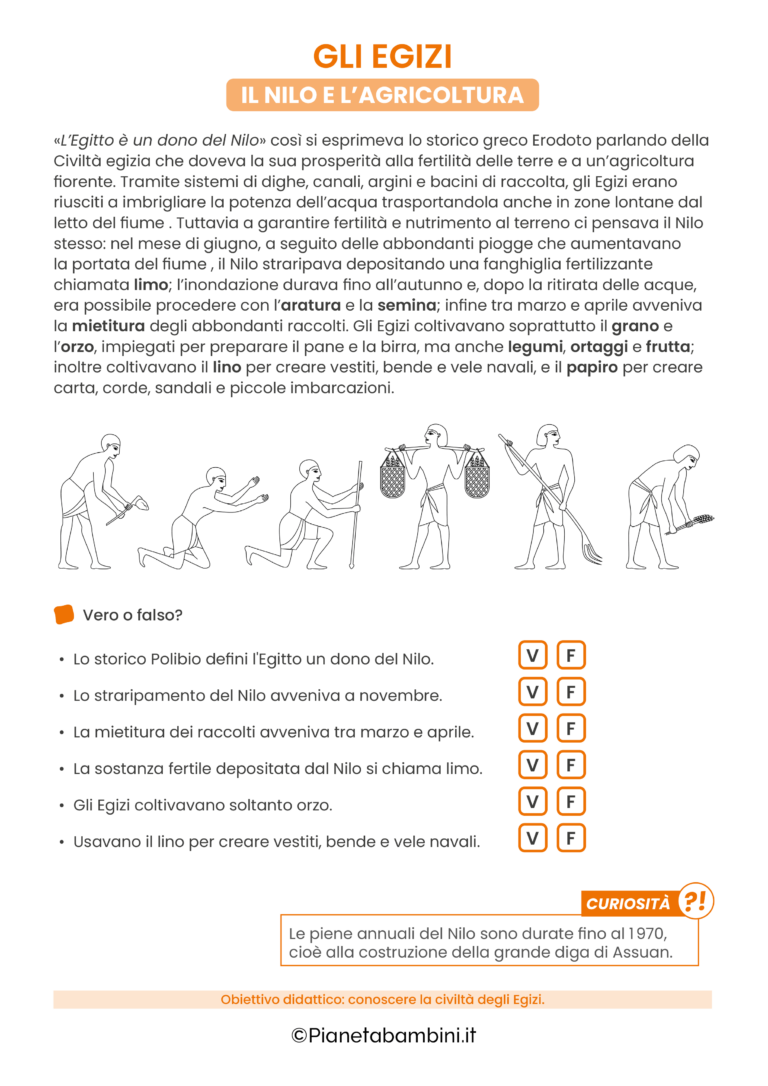 Gli Egizi: Schede Didattiche per la Scuola Primaria | PianetaBambini.it