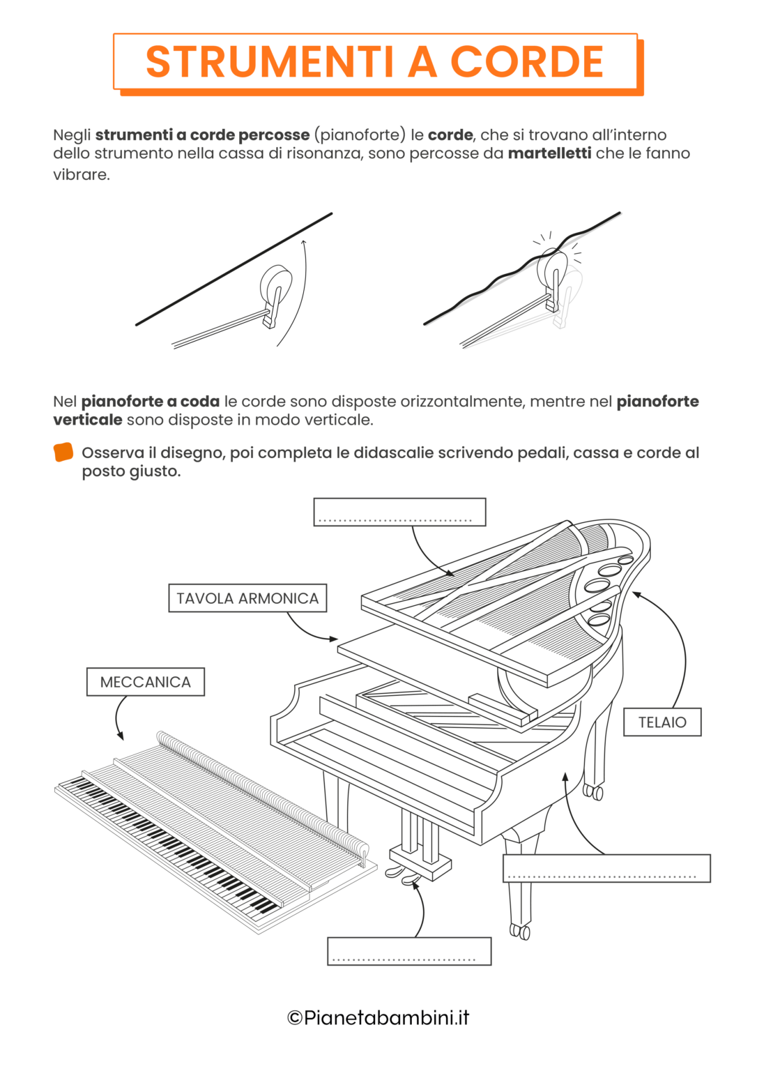 Strumenti a Corde: Schede Didattiche per la Scuola Primaria ...