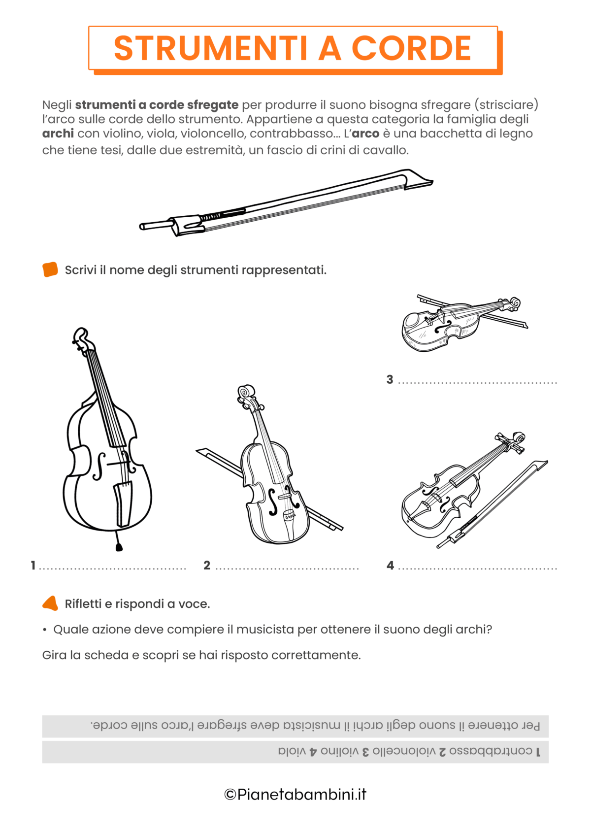 Strumenti a Corde: Schede Didattiche per la Scuola Primaria ...