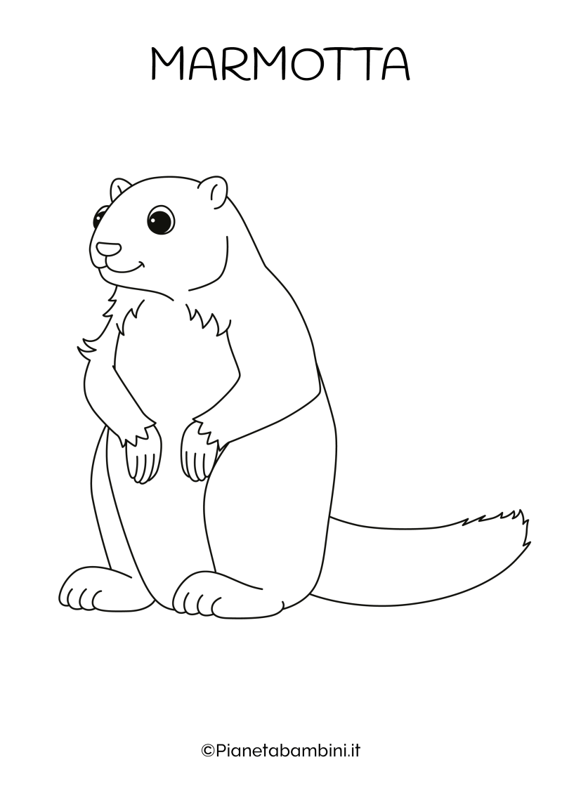 Disegni di Animali che Vanno in Letargo da Colorare | PianetaBambini.it