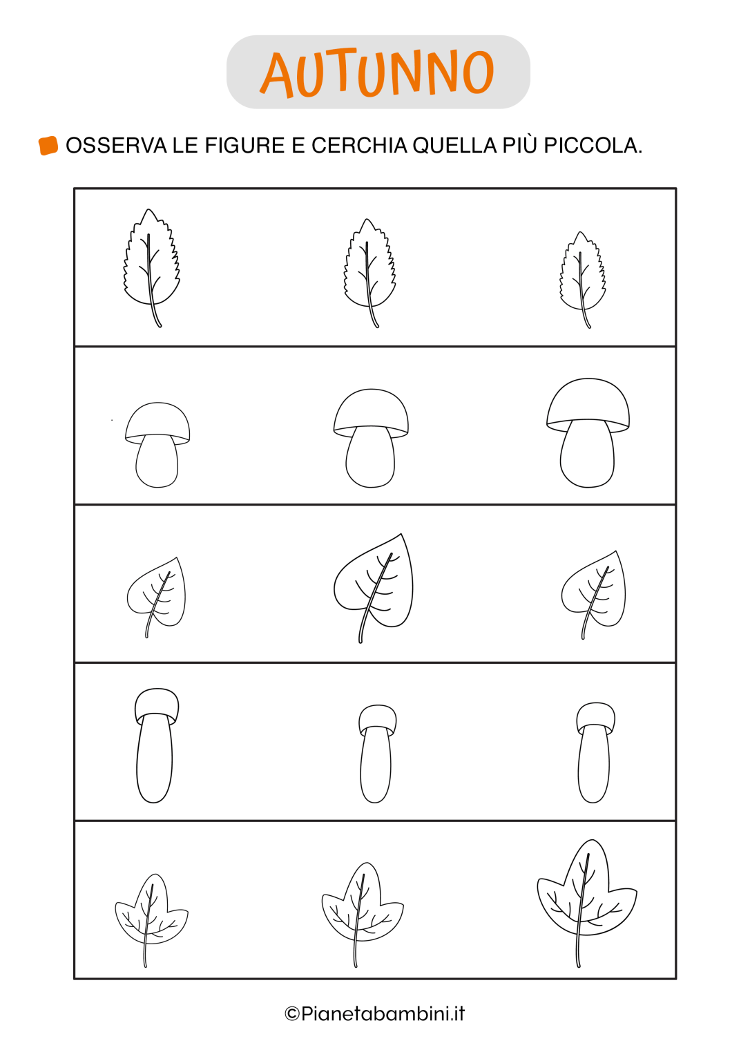 Schede Didattiche sull'Autunno per la Scuola dell'Infanzia ...