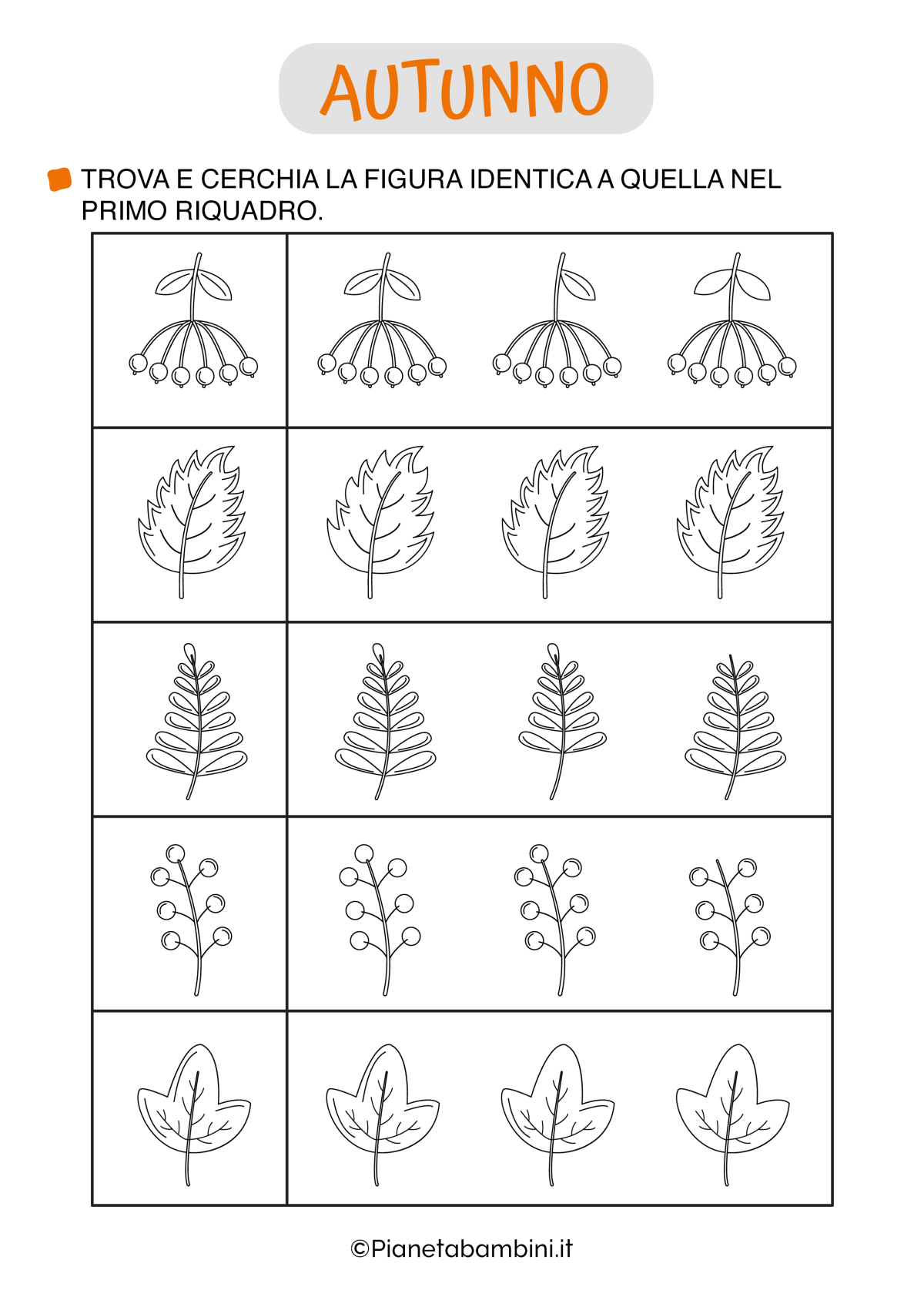 Schede Didattiche sull'Autunno per la Scuola dell'Infanzia ...