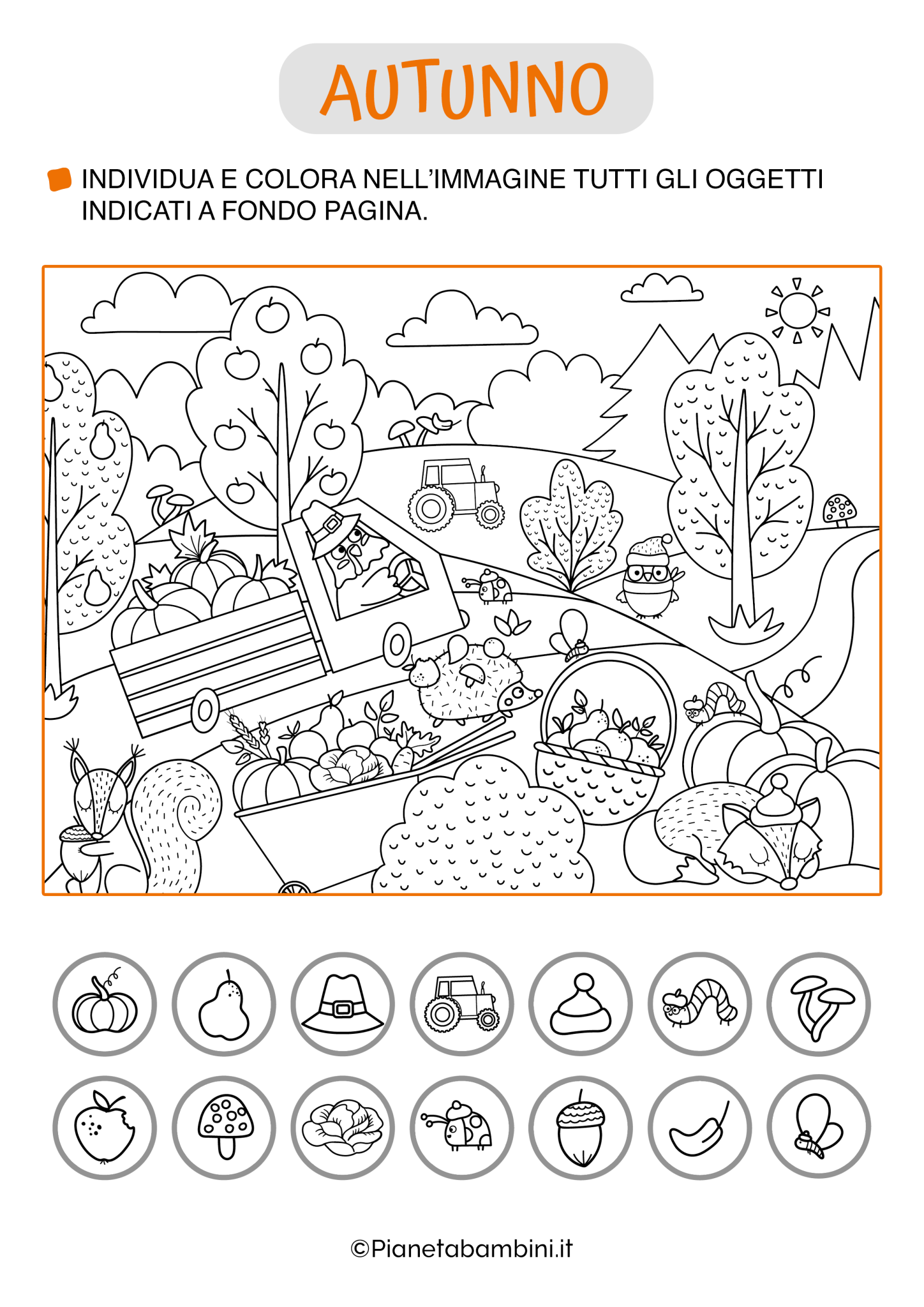 Schede Didattiche sull'Autunno per la Scuola Primaria | PianetaBambini.it