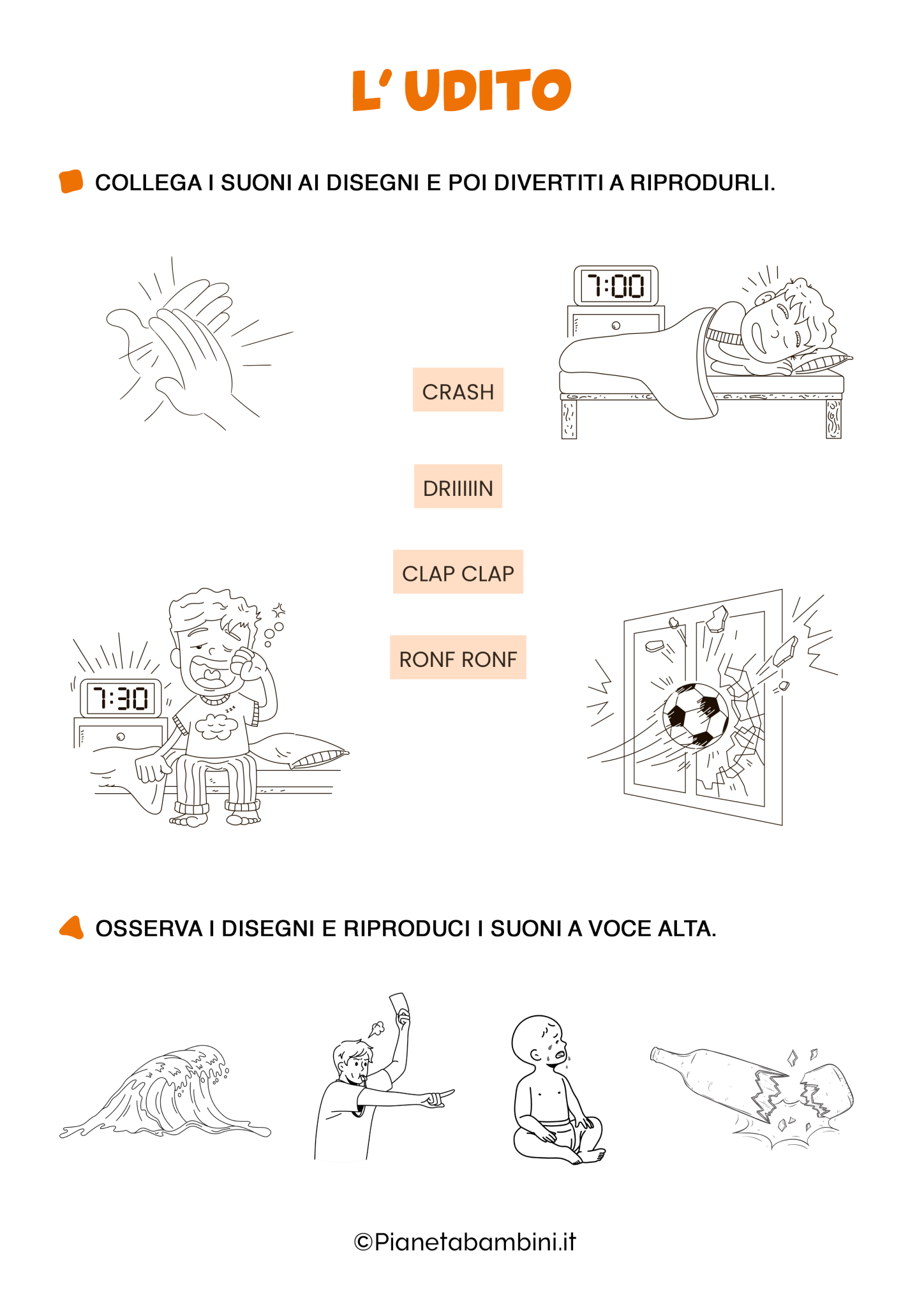 L'Udito: Schede Didattiche per la Classe Prima | PianetaBambini.it