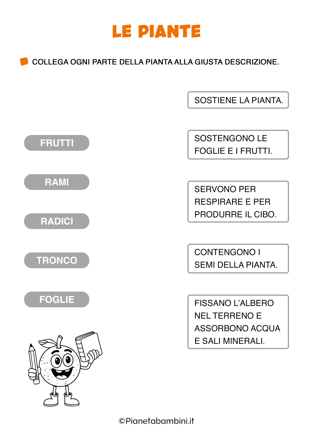 Le Piante: Schede per la Classe Prima | PianetaBambini.it