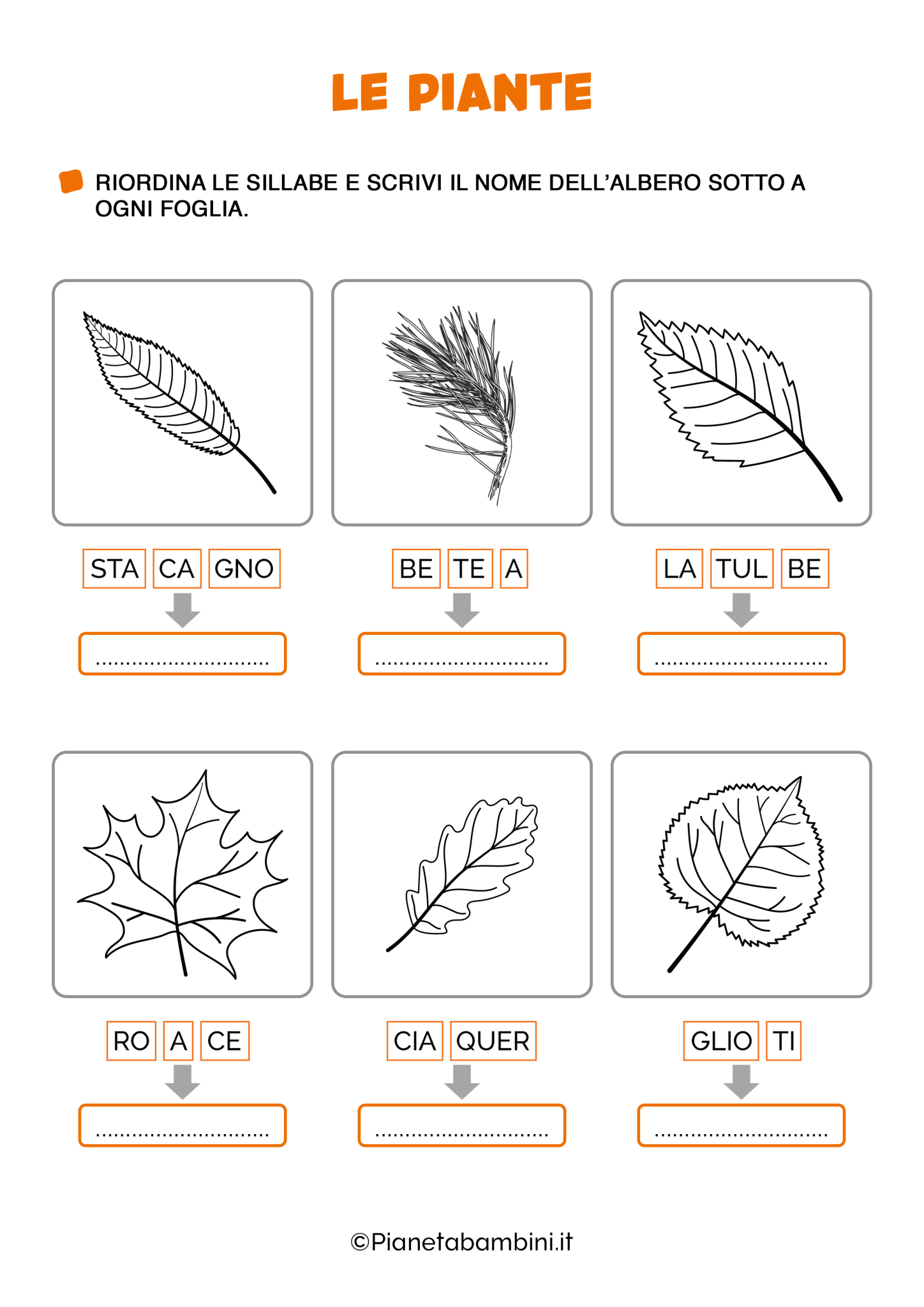 Le Piante: Schede per la Classe Prima | PianetaBambini.it