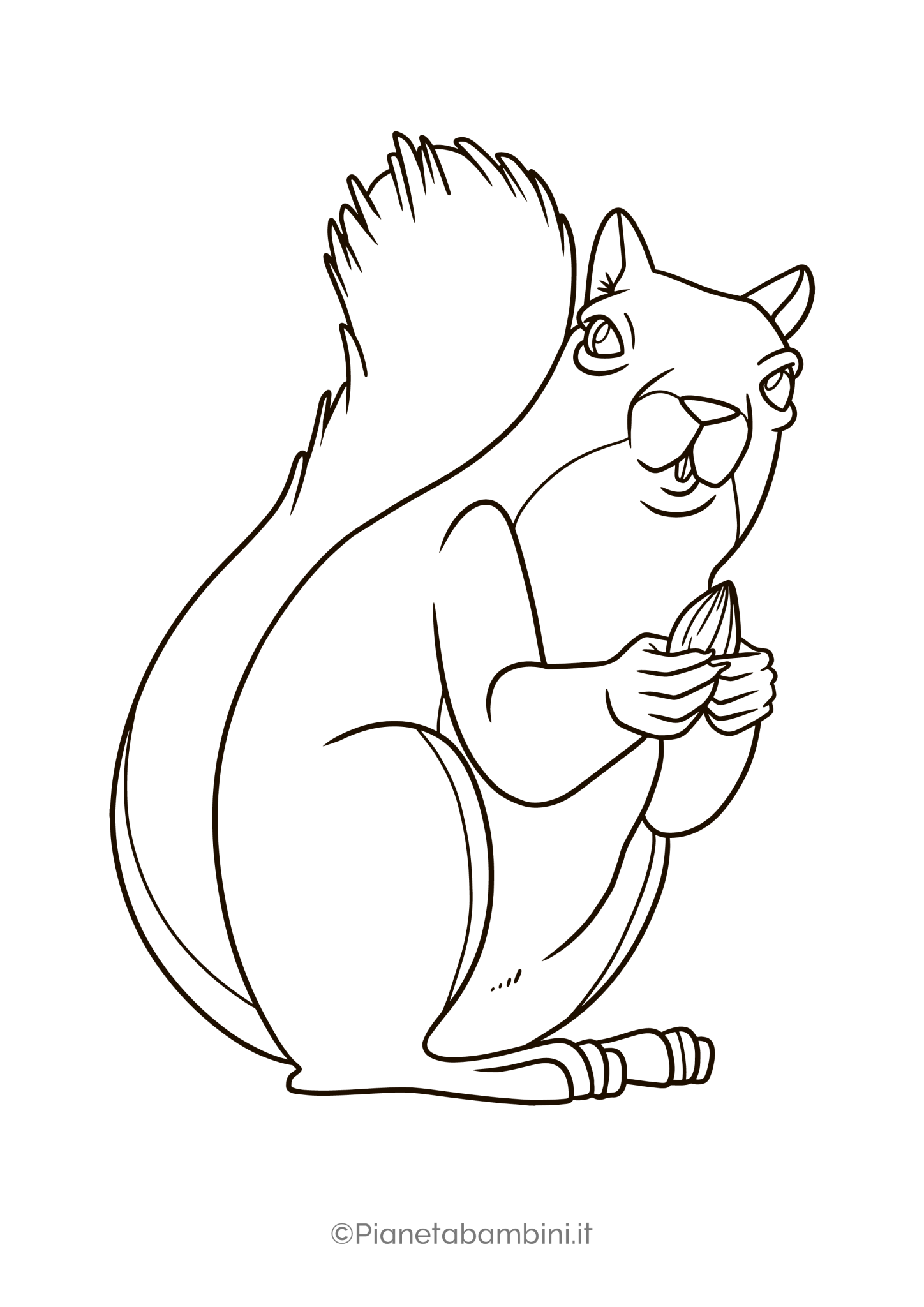 45 Disegni di Scoiattoli da Colorare | PianetaBambini.it