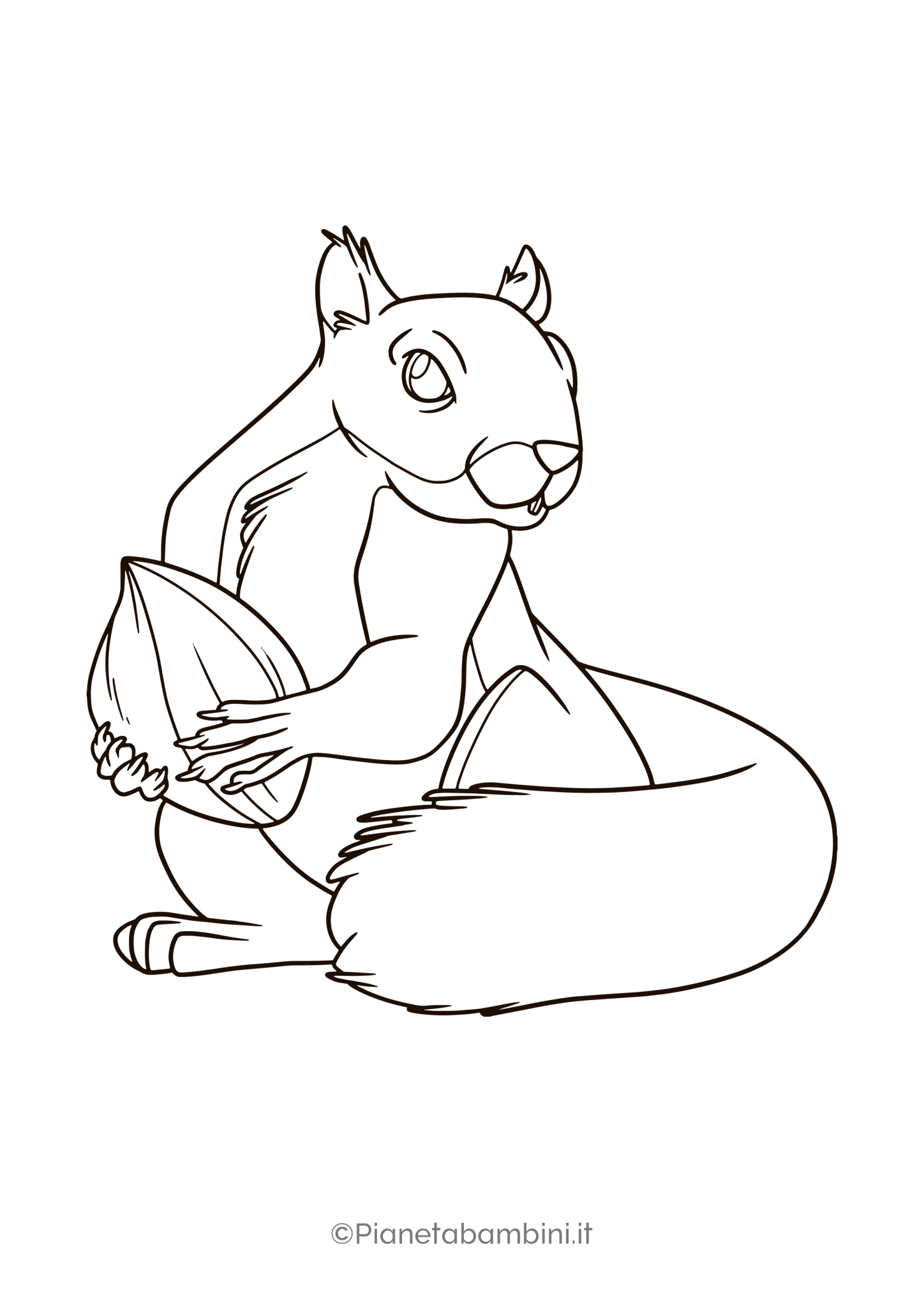 45 Disegni di Scoiattoli da Colorare | PianetaBambini.it