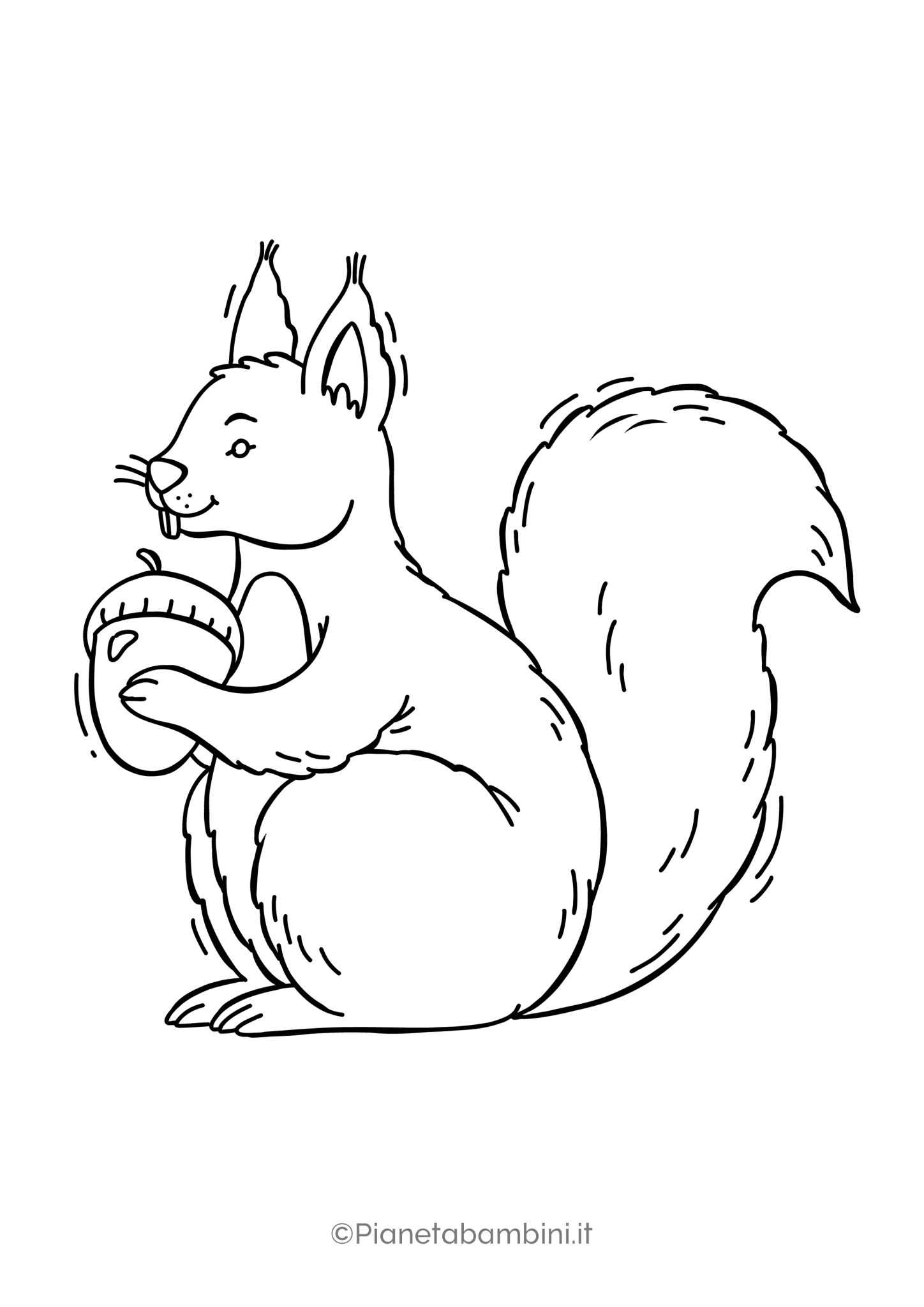 45 Disegni di Scoiattoli da Colorare | PianetaBambini.it