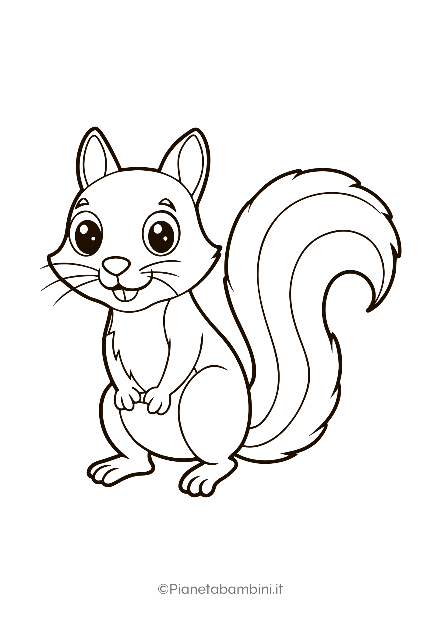 45 Disegni di Scoiattoli da Colorare | PianetaBambini.it