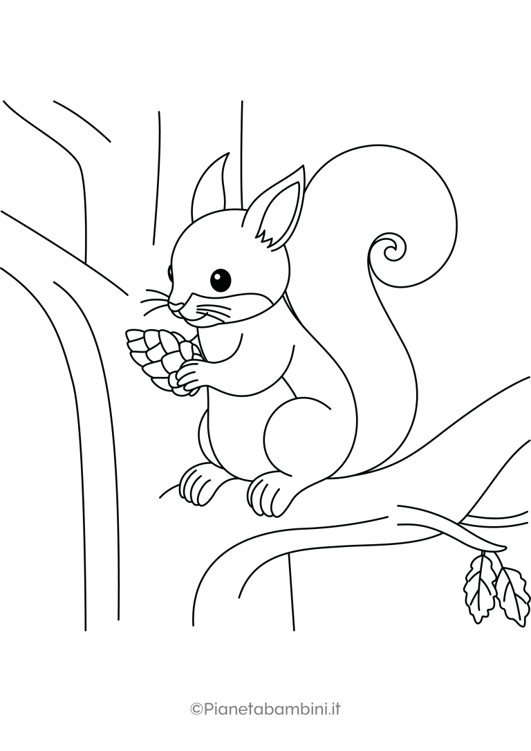 45 Disegni di Scoiattoli da Colorare | PianetaBambini.it
