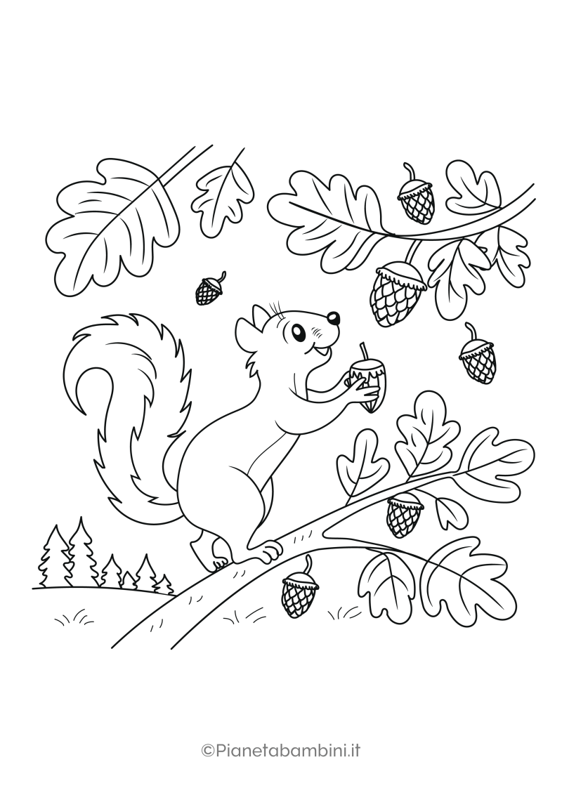 45 Disegni di Scoiattoli da Colorare | PianetaBambini.it