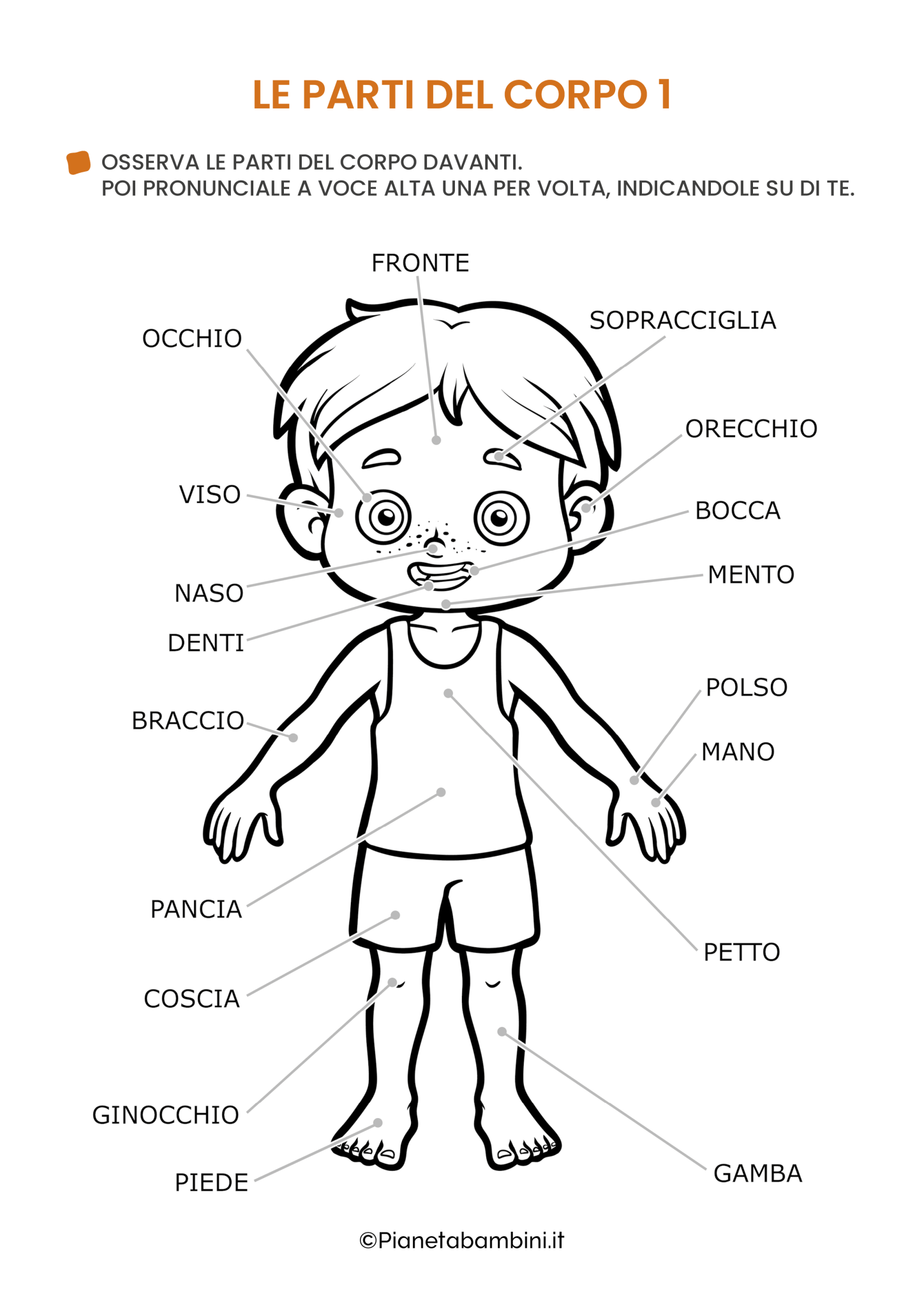 Le Parti del Corpo in Italiano: Schede per Stranieri e BES ...