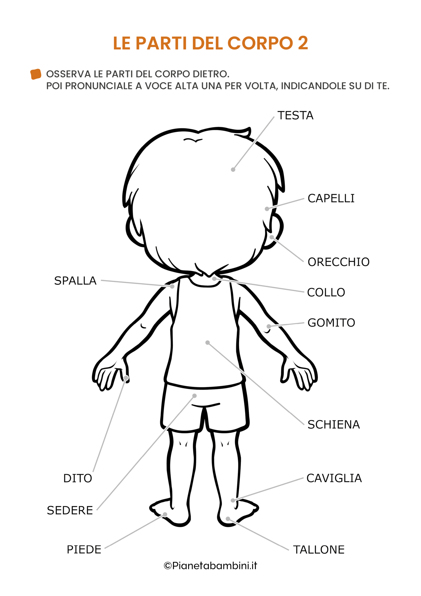 Le Parti del Corpo in Italiano: Schede per Stranieri e BES ...