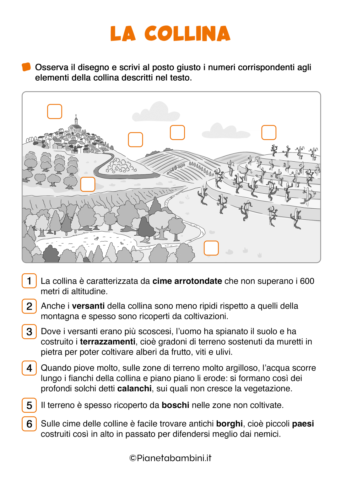 La Collina: Schede per la Classe Terza | PianetaBambini.it
