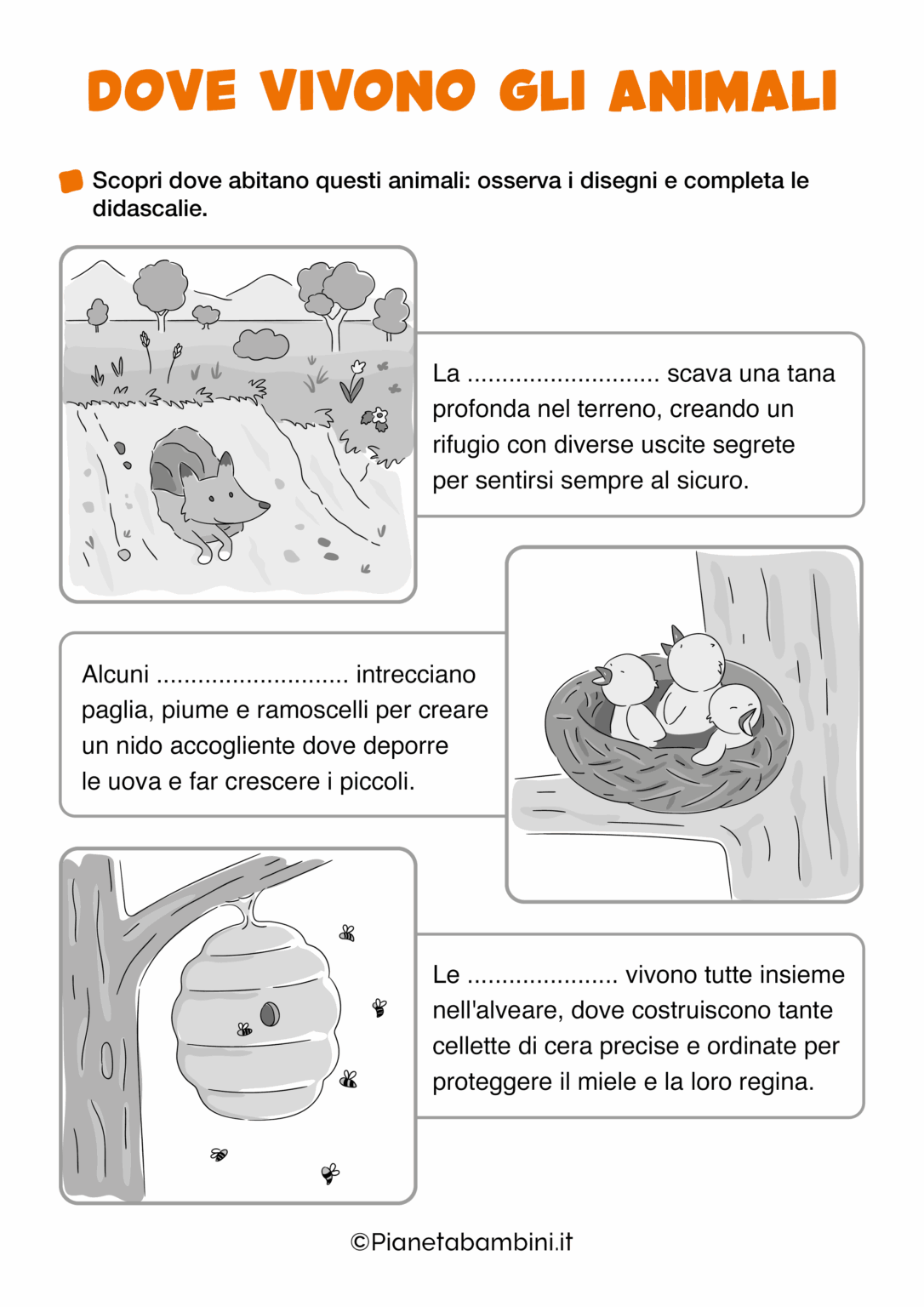 Dove Vivono gli Animali: Schede per la Classe Seconda | PianetaBambini.it