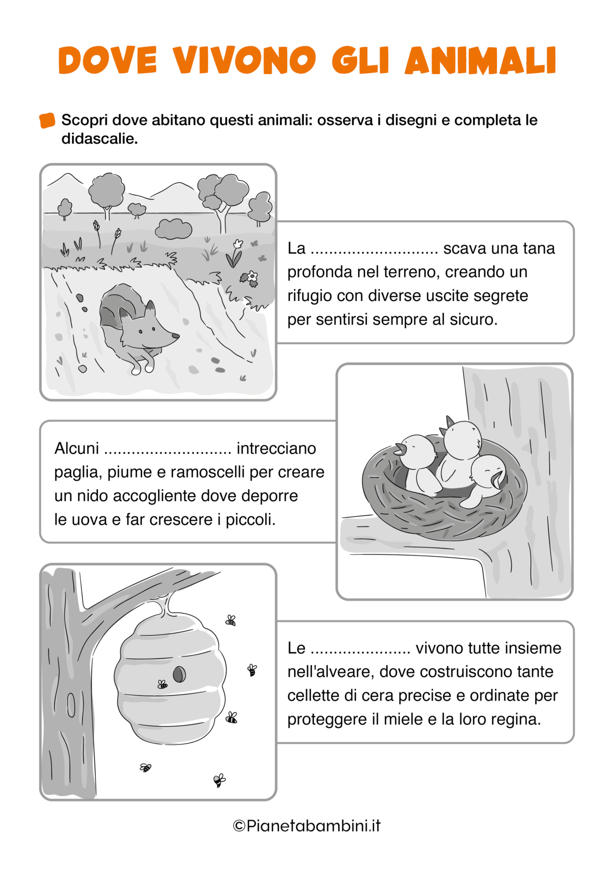 Dove Vivono gli Animali: Schede per la Classe Seconda | PianetaBambini.it