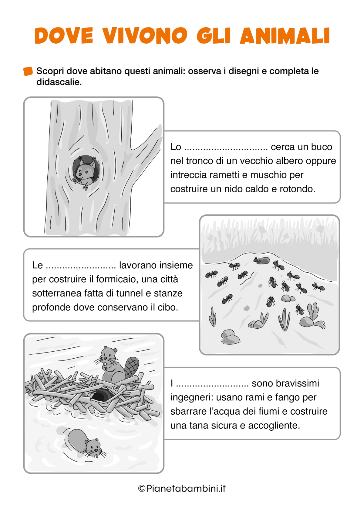 Dove Vivono gli Animali: Schede per la Classe Seconda | PianetaBambini.it